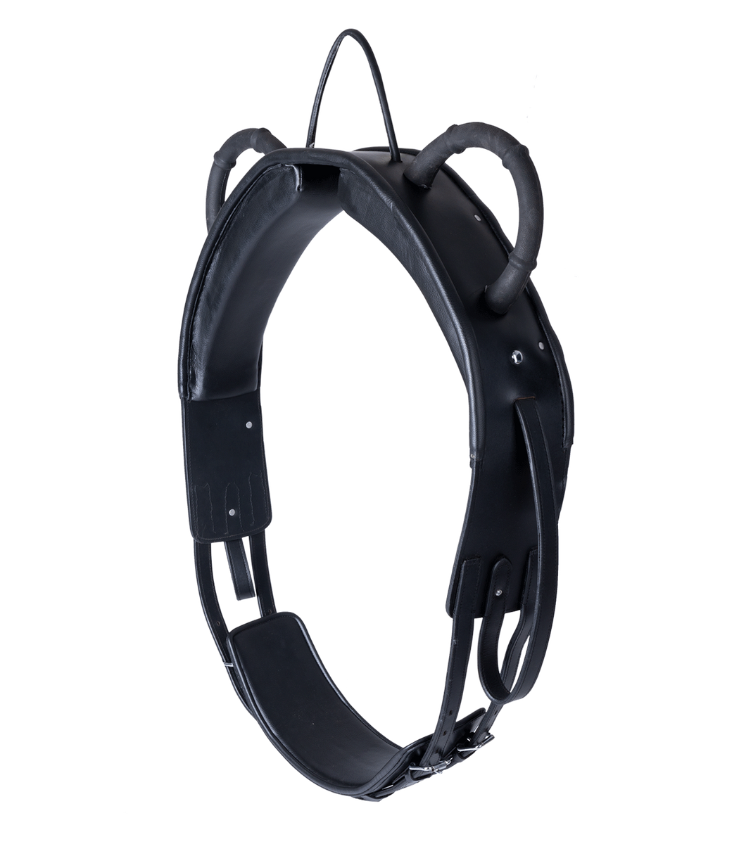 Waldhausen Competition Vaulting & Lunging Surcingle Black Full – Toptac ...