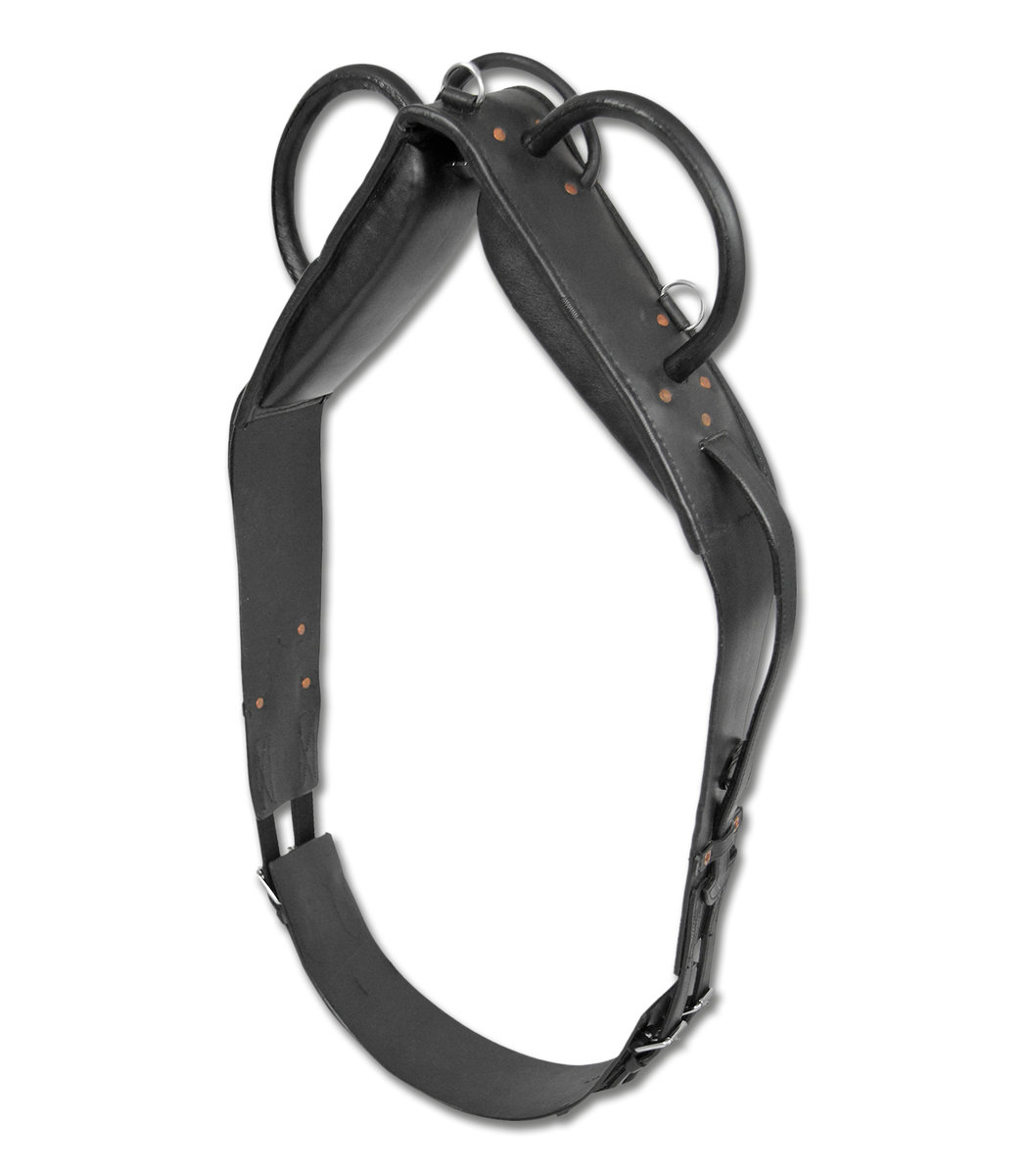 Waldhausen Competition Vaulting & Lunging Surcingle Black Full – Toptac ...